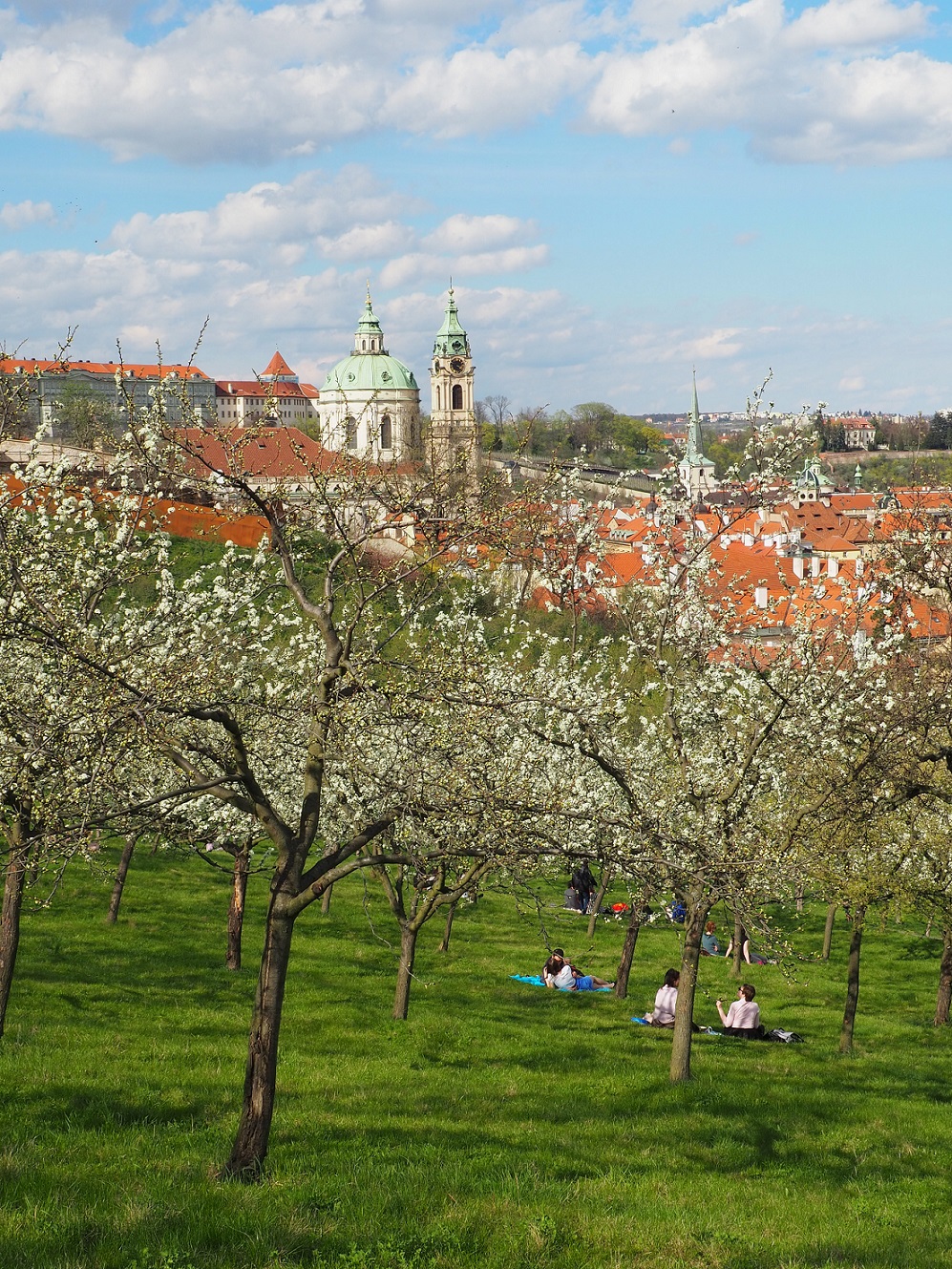 Un printemps à Prague - Cookie et Attila