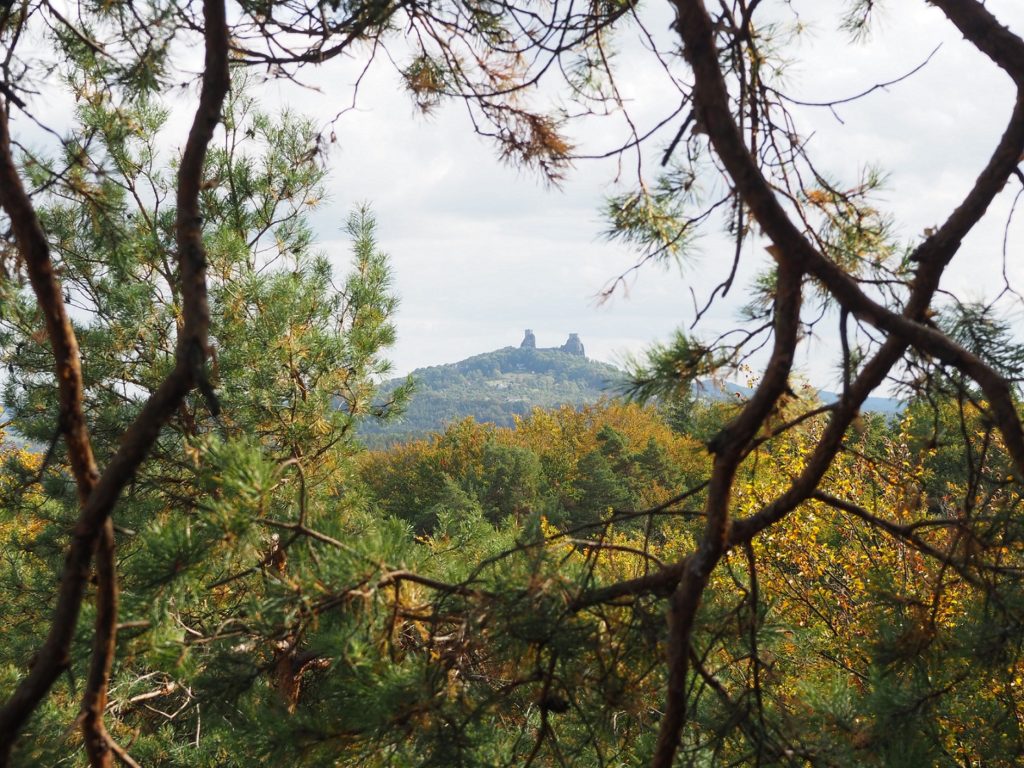 Randonnée d’une journée à Cesky Raj, le paradis de Bohême - Cookie et ...