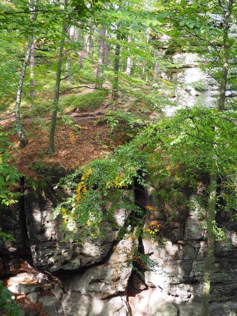 Randonnée d’une journée à Cesky Raj, le paradis de Bohême - Cookie et ...