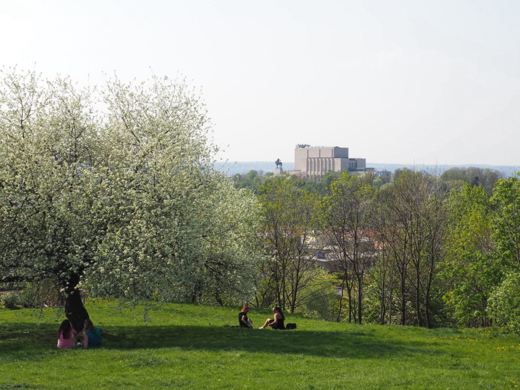 Les parcs, jardins et forêts de Prague - Cookie et Attila
