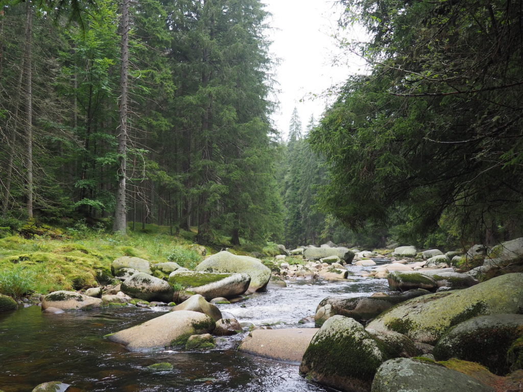 Visiter Šumava en un weekend: joyau vert de la République tchèque ...